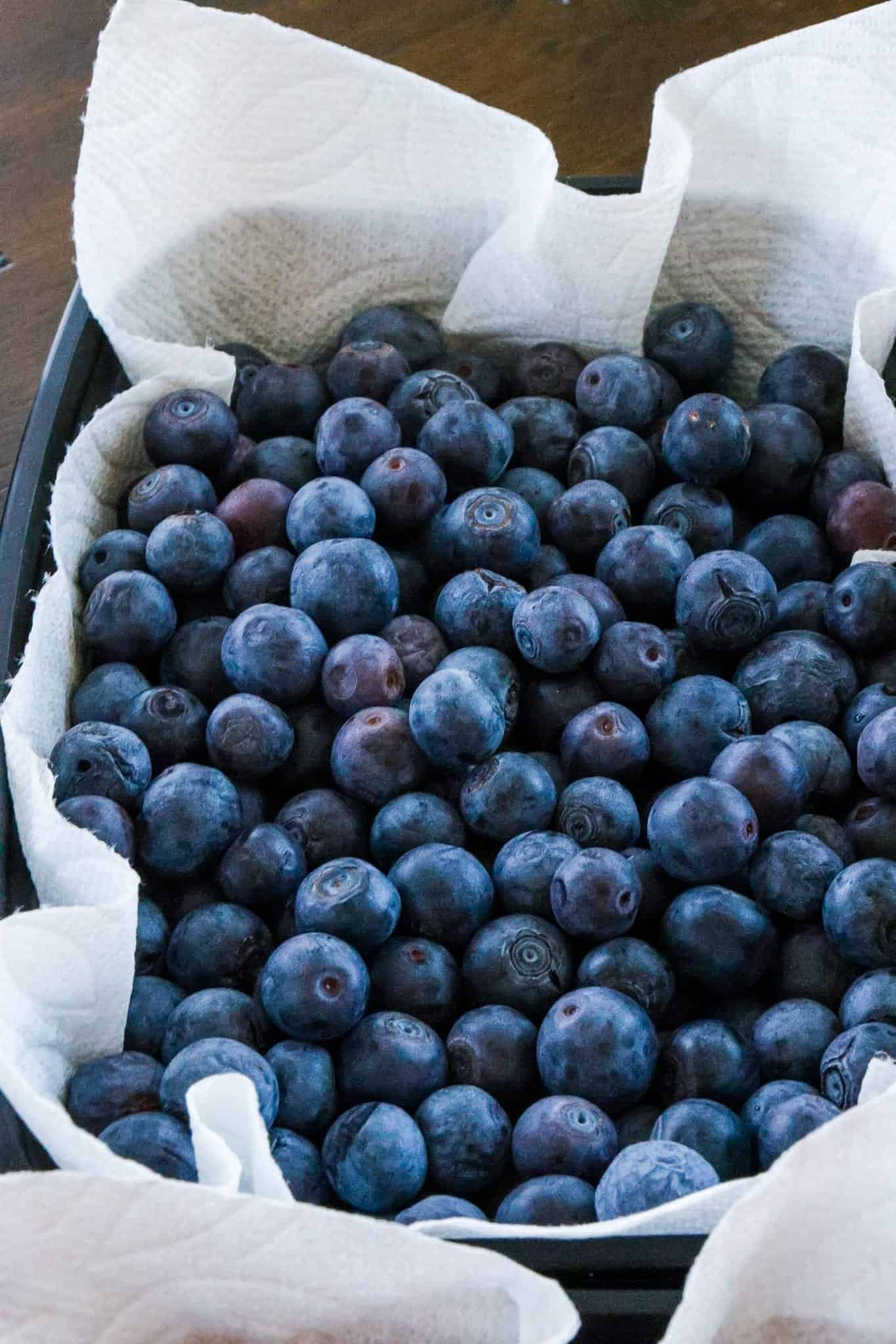 How to Keep Berries Fresh up to 21 Days with all my Best Berry Tips